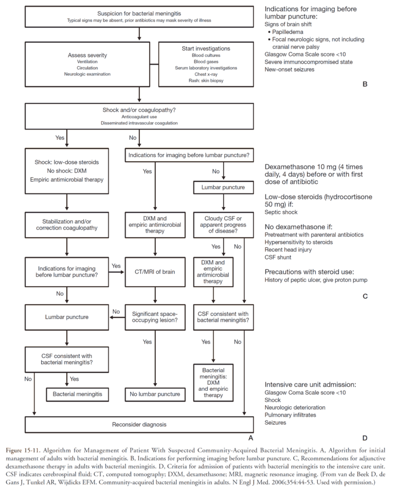 Headache Algorithm - Manual of Medicine