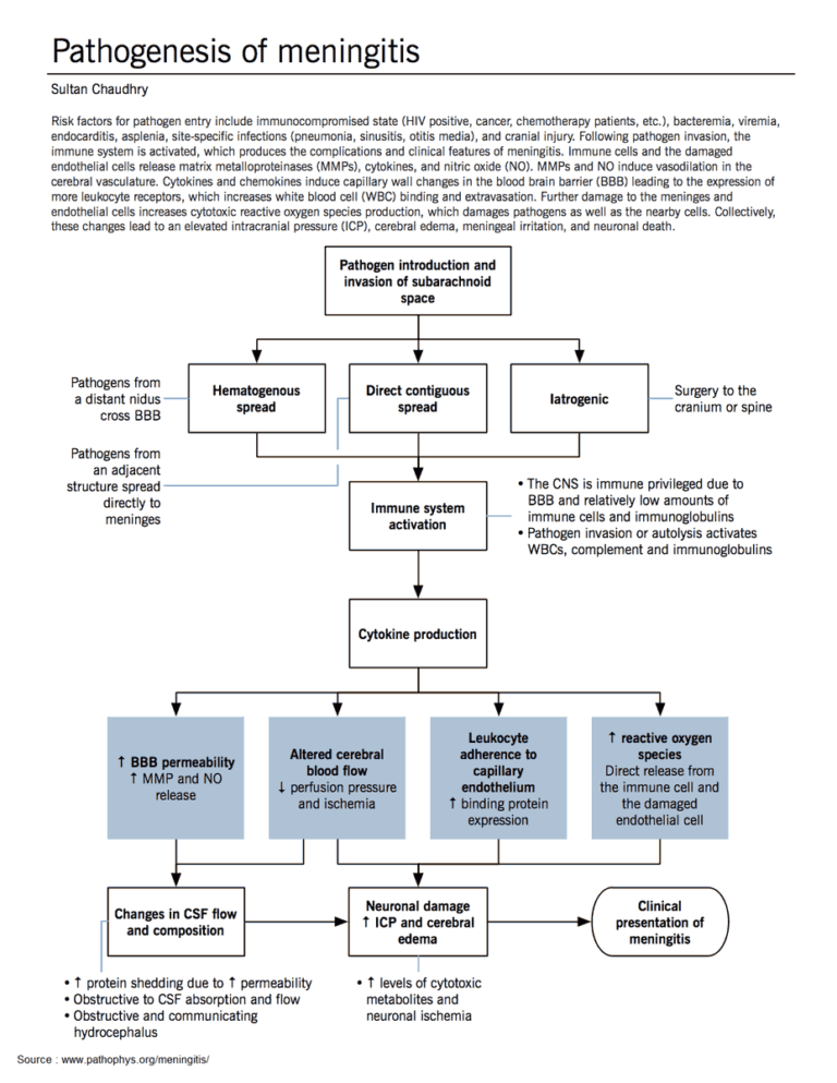 Headache Algorithm - Manual of Medicine
