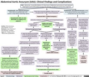Low Back Pain Algorithm and Differential Diagnosis - Manual of Medicine