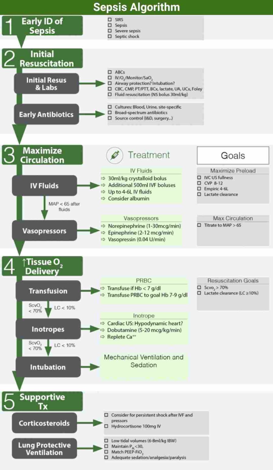Blunt Chest Trauma Algorithm - Manual of Medicine