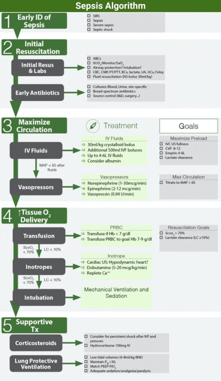 Sepsis Algorithm and Differential Diagnosis - Manual of Medicine
