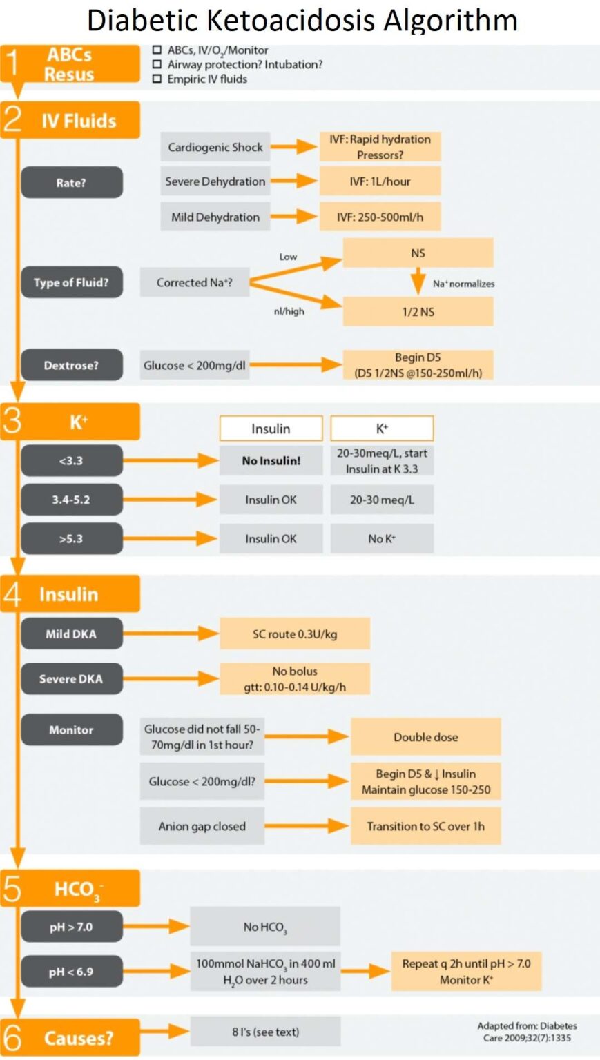 Diabetic Ketoacidosis (DKA) Algorithm - Manual of Medicine