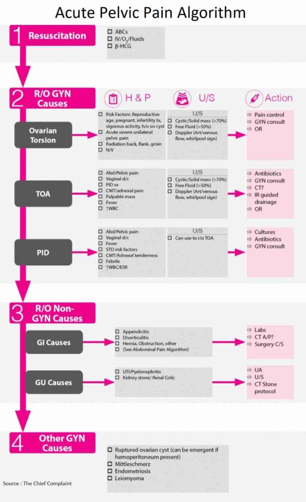 Blunt Chest Trauma Algorithm - Manual of Medicine