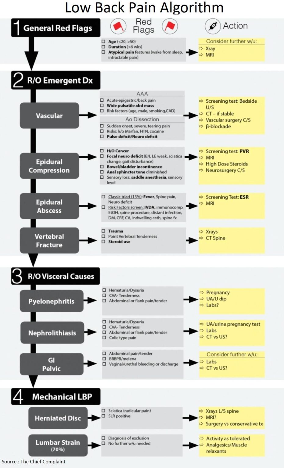 Low Back Pain Algorithm and Differential Diagnosis - Manual of Medicine
