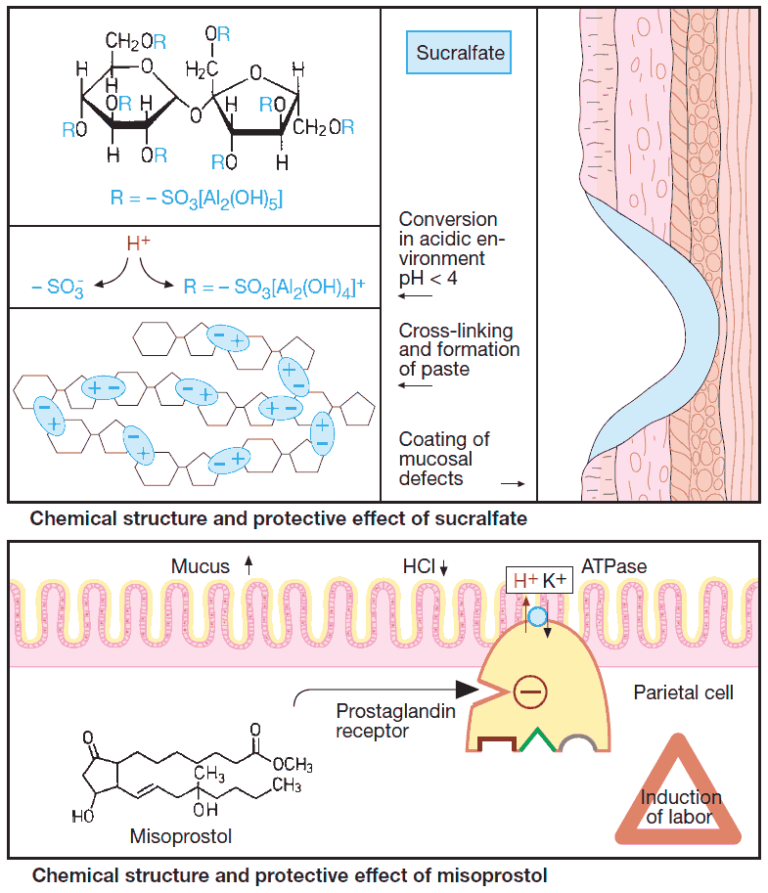 Drugs for Gastric and Duodenal Ulcers - Manual of Medicine