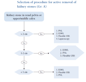 Urolithiasis Guidelines - Manual of Medicine