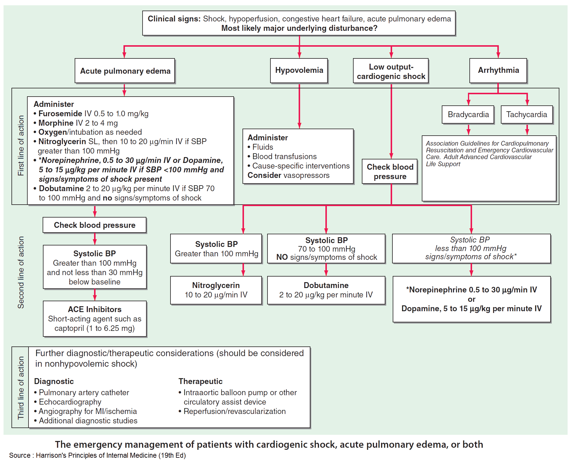 Beyond Diuresis Treatment Adjuncts In Cardiogenic Pulmonary Edema Beyond Diuresis Treatment Adjuncts In Cardiogenic Pulmonary Edema