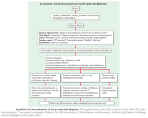 Shortness of Breath (Dyspnea): Differential Diagnosis, Examination and ...