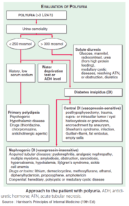 Approach to Polyuria and Polydipsia - Manual of Medicine