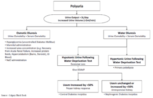 Approach to Polyuria and Polydipsia - Manual of Medicine