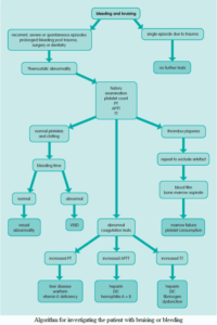 Evaluation of the Patient with Bleeding and Bruising - Manual of Medicine