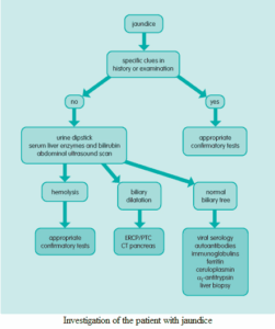 Evaluation of Jaundice - Manual of Medicine