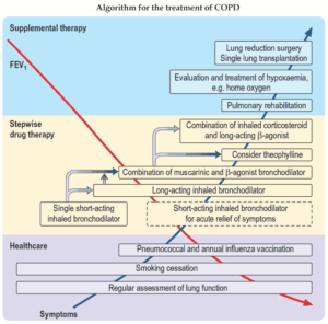 COPD (Emphysema and Chronic Bronchitis): From Diagnosis to Treatment ...