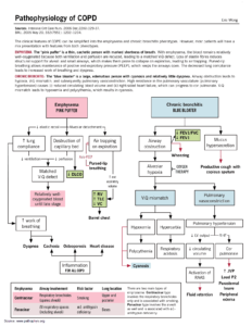 COPD (Emphysema and Chronic Bronchitis): From Diagnosis to Treatment - Manual of Medicine