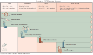 COPD (Emphysema and Chronic Bronchitis): From Diagnosis to Treatment - Manual of Medicine