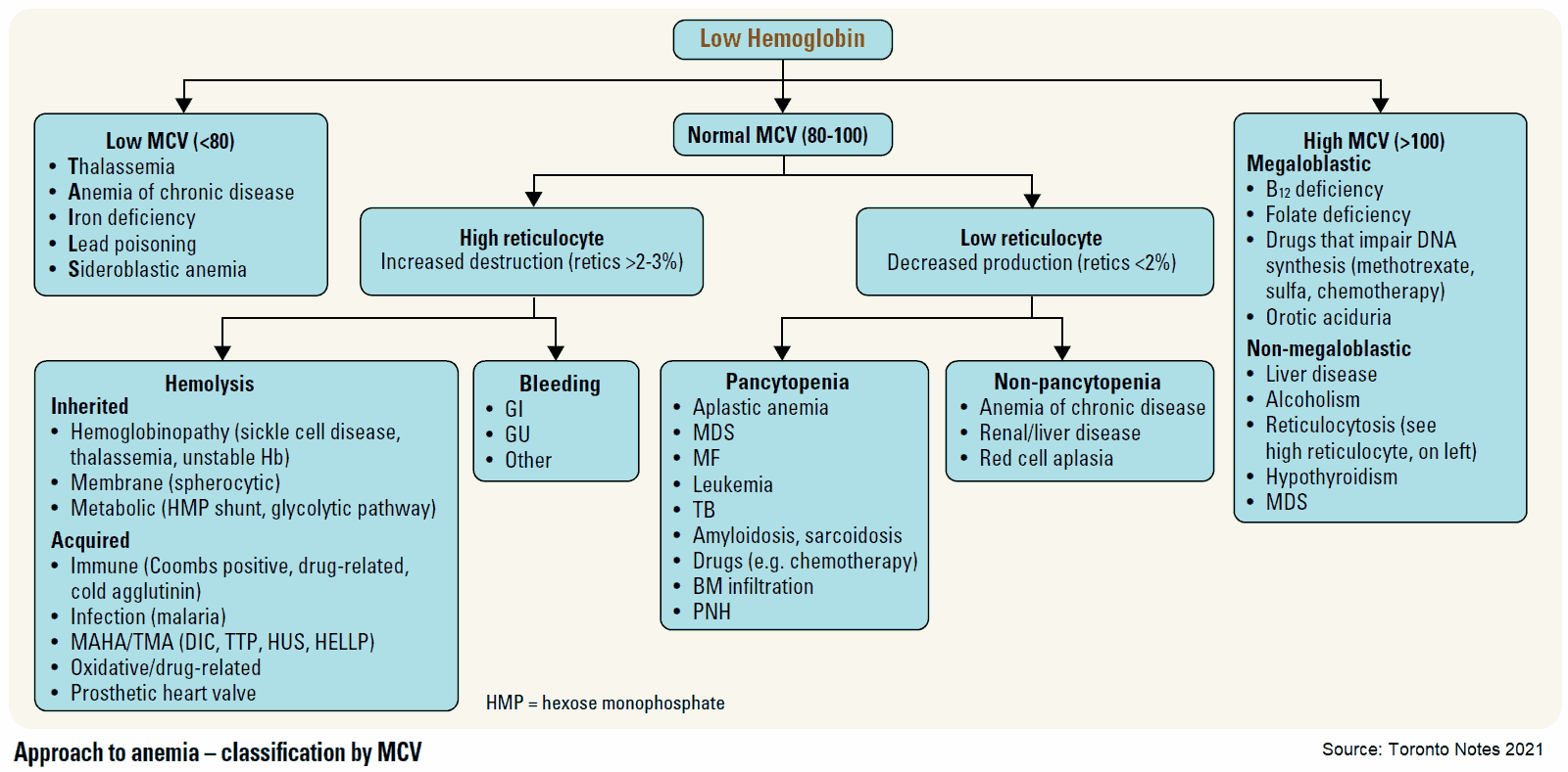 Anemia: Approach and Evaluation - Manual of Medicine