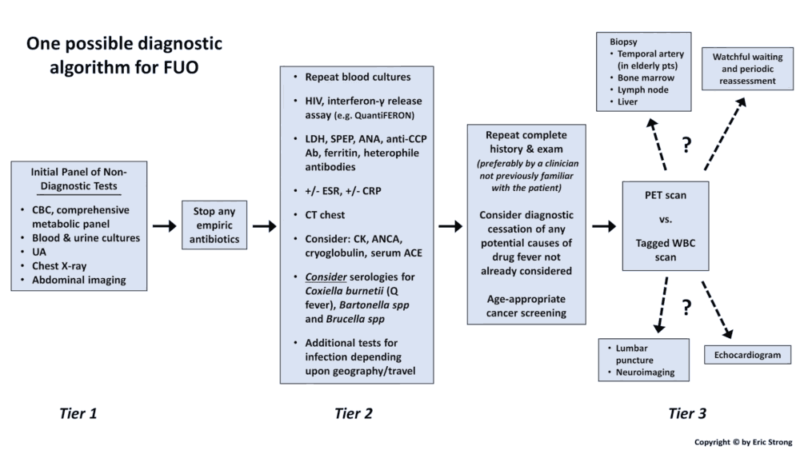 Fever of Unknown Origin (FUO): A Diagnostic Challenge - Manual of Medicine